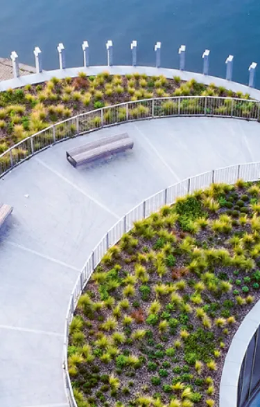 Investor Information | Holcim